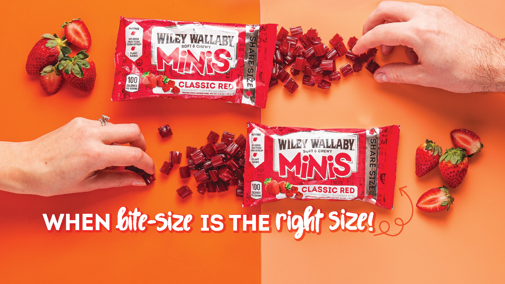 Wiley Wallaby: Gourmet Licorice